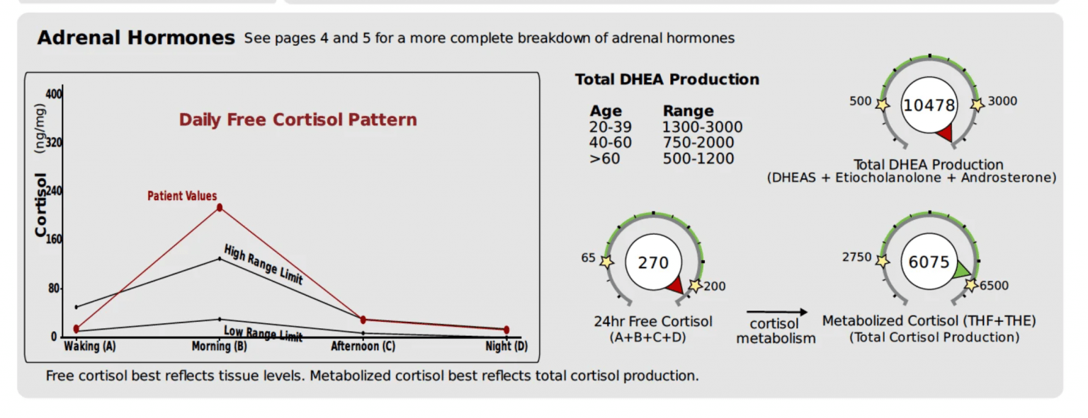 Understanding Cortisol for Hormone Health - Dr Ryu Natural Medicine