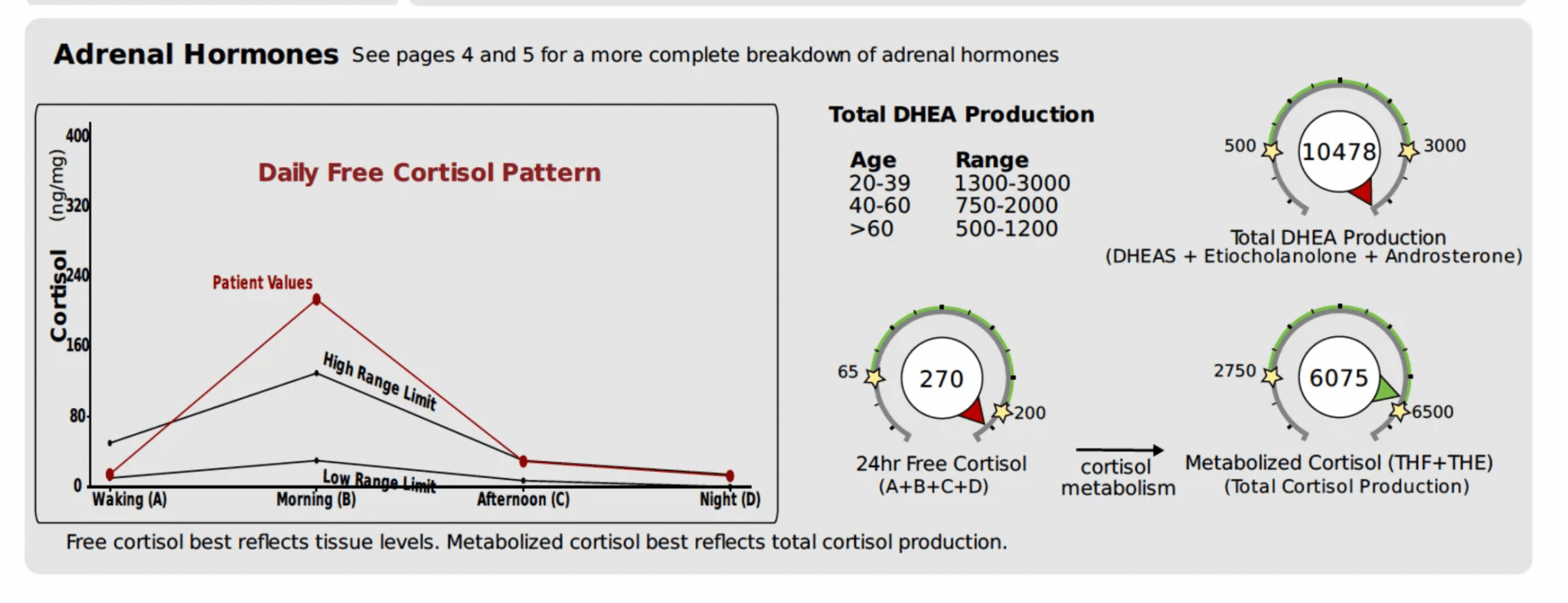Understanding Cortisol for Hormone Health - Dr Ryu Natural Medicine